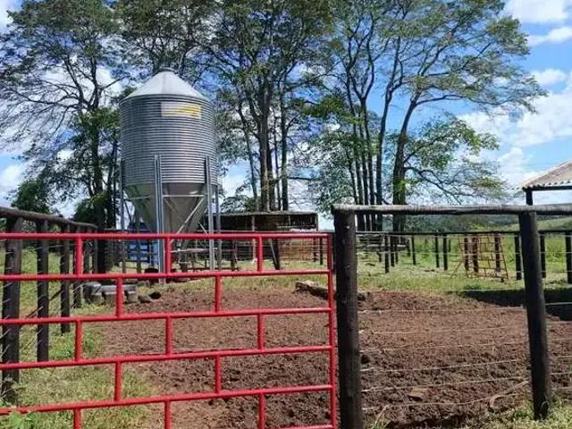 Sítio / Chácara para Venda em Prata/MG Zona Rural