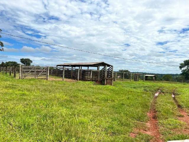 Sítio / Chácara para Venda em Prata/MG Zona Rural