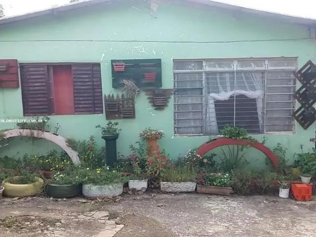 Sítio / Chácara para Venda em Presidente Bernardes/SP Zona Rural 5 Quartos