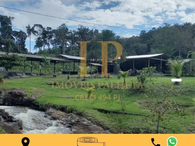 Sítio / Chácara para Venda em Presidente Figueiredo/AM Balbina 3 Quartos