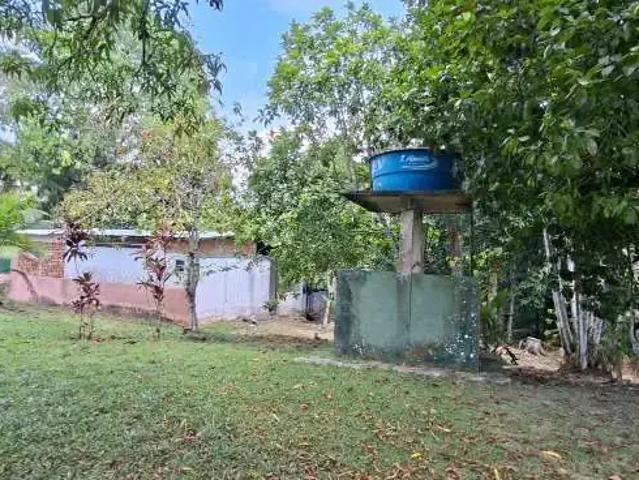 Sítio / Chácara para Venda em Presidente Figueiredo/AM Zona Rural