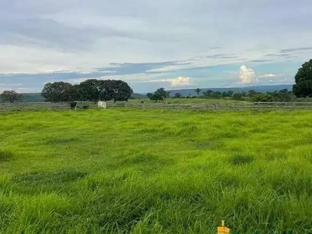Sítio / Chácara para Venda em Presidente Olegário/MG Zona Rural