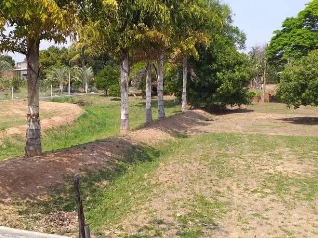 Sítio / Chácara para Venda em Presidente Prudente/SP Área Rural de Presidente Prudente
