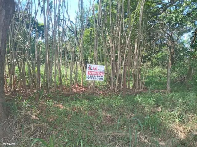 Sítio / Chácara para Venda em Presidente Prudente/SP Área Rural de Presidente Prudente 2 Quartos