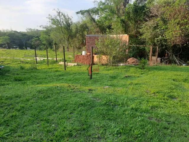 Sítio / Chácara para Venda em Presidente Prudente/SP Área Rural de Presidente Prudente
