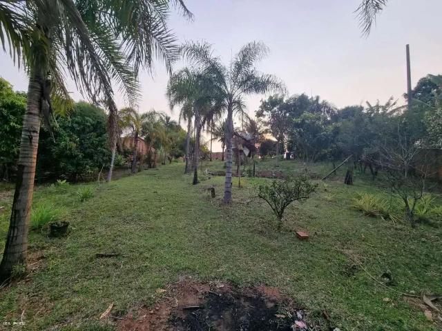 Sítio / Chácara para Venda em Presidente Prudente/SP Terras de Imoplan