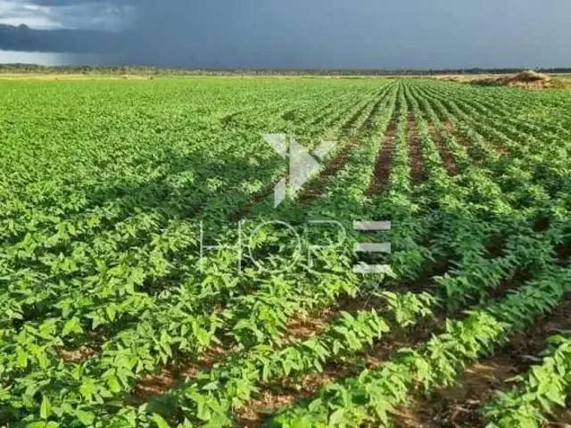 Sítio / Chácara para Venda em Primavera do Leste/MT Zona Rural