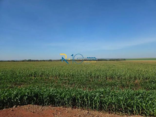 Sítio / Chácara para Venda em Primeiro de Maio/PR Zona Rural