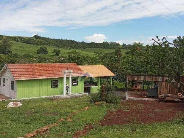 Sítio / Chácara para Venda em Primeiro de Maio/PR Zona Rural