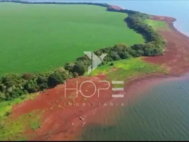 Sítio / Chácara para Venda em Primeiro de Maio/PR Zona Rural