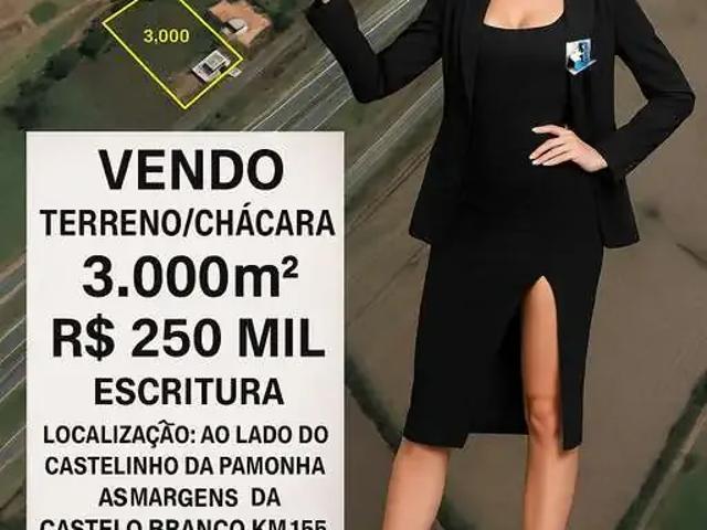 Sítio / Chácara para Venda em Quadra/SP Aleluia dos Tavares