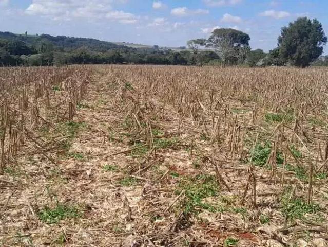 Sítio / Chácara para Venda em Quadra/SP Zona Rural 1 Quartos