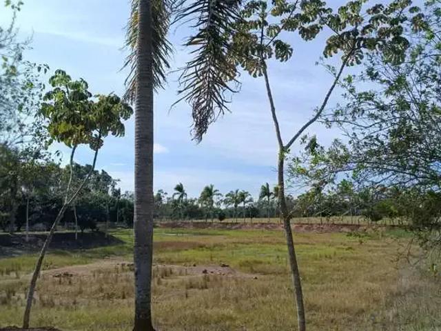 Sítio / Chácara para Venda em Quadra/SP Zona Rural 1 Quartos