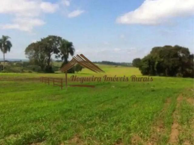 Sítio / Chácara para Venda em Quadra/SP Zona Rural