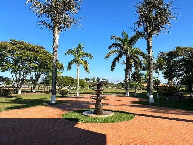 Sítio / Chácara para Venda em Quadra/SP Zona Rural