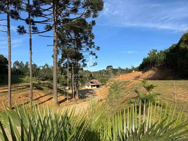 Sítio / Chácara para Venda em Quatro Barras/PR Borda do Campo