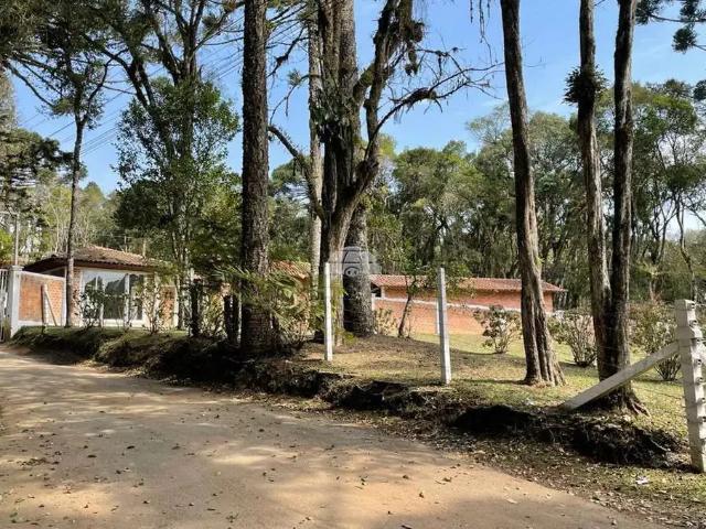 Sítio / Chácara para Venda em Quatro Barras/PR Campininha