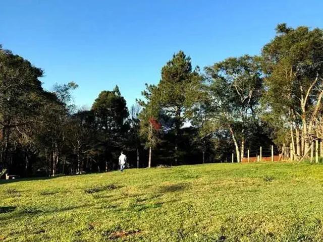 Sítio / Chácara para Venda em Quatro Barras/PR Centro