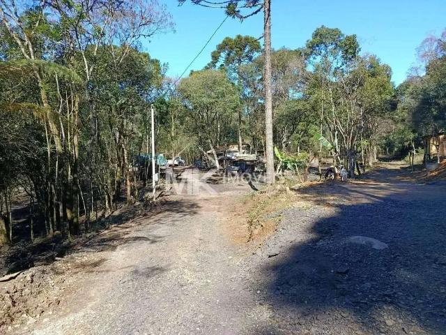 Sítio / Chácara para Venda em Quatro Barras/PR Centro