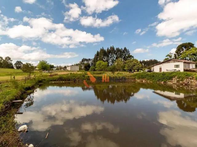 Sítio / Chácara para Venda em Quatro Barras/PR Granja das Acácias 1 Quartos