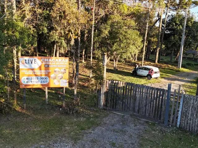 Sítio / Chácara para Venda em Quatro Barras/PR Palmitalzinho
