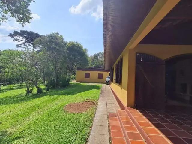 Sítio / Chácara para Venda em Quatro Barras/PR Palmitalzinho