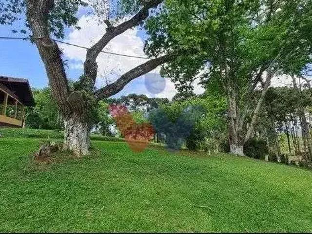 Sítio / Chácara para Venda em Quatro Barras/PR Palmitalzinho 6 Quartos