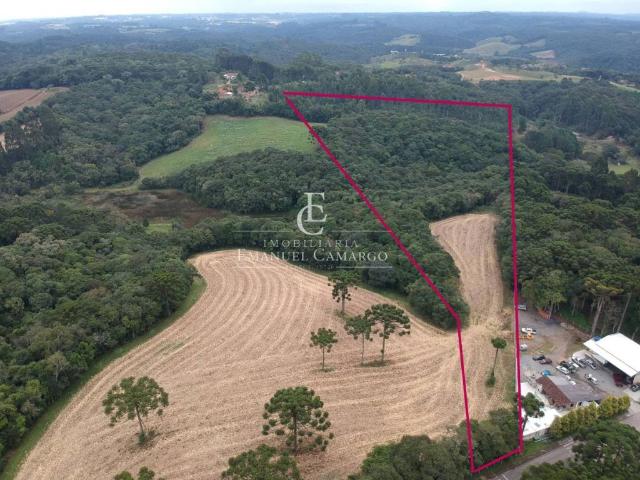 Sítio / Chácara para Venda em Quatro Barras/PR Palmitalzinho