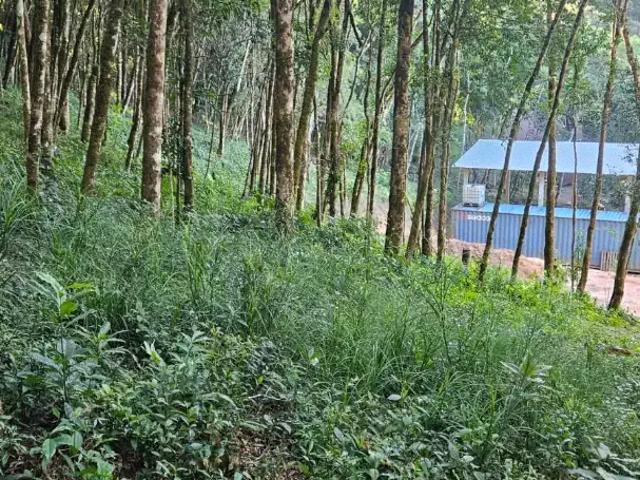 Sítio / Chácara para Venda em Quatro Barras/PR Zona Rural