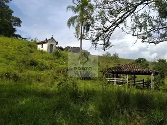 Sítio / Chácara para Venda em Queluzito/MG Zona Rural