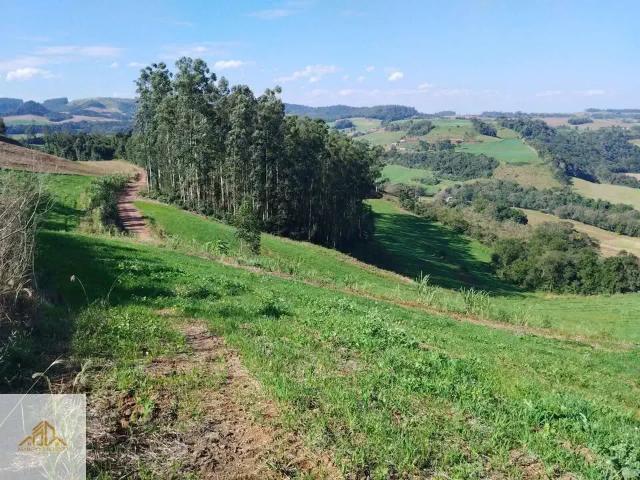 Sítio / Chácara para Venda em Quilombo/SC Centro
