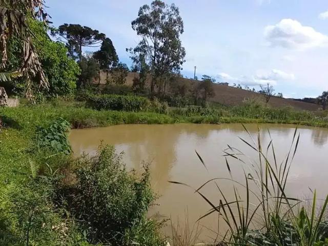 Sítio / Chácara para Venda em Quitandinha/PR Zona Rural
