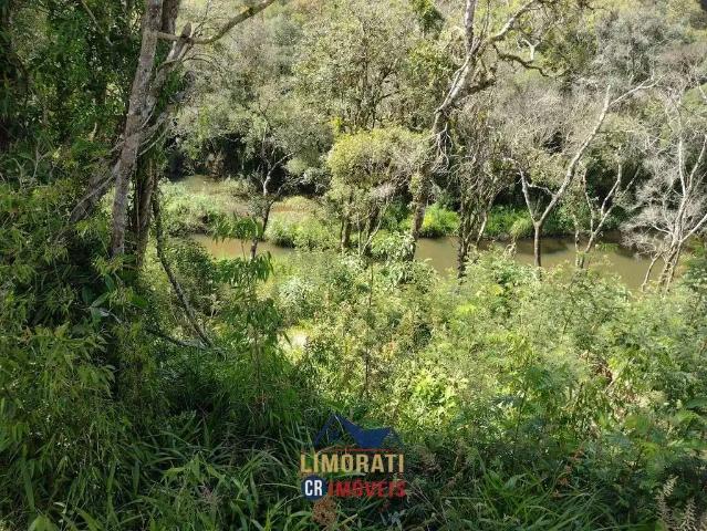 Sítio / Chácara para Venda em Quitandinha/PR Zona Rural 1 Quartos