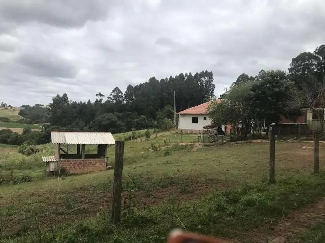 Sítio / Chácara para Venda em Quitandinha/PR Zona Rural 5 Quartos