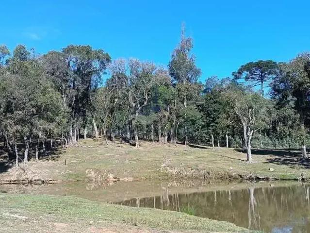 Sítio / Chácara para Venda em Quitandinha/PR Doce Grande 2 Quartos