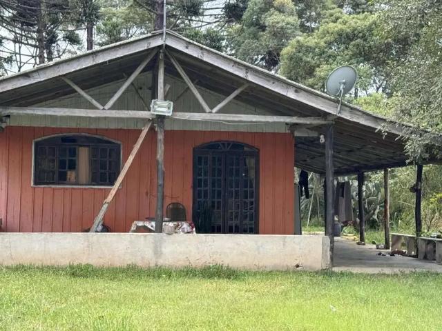 Sítio / Chácara para Venda em Quitandinha/PR Rio Da Várzea