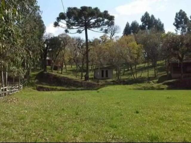 Sítio / Chácara para Venda em Quitandinha/PR Rio Da Várzea