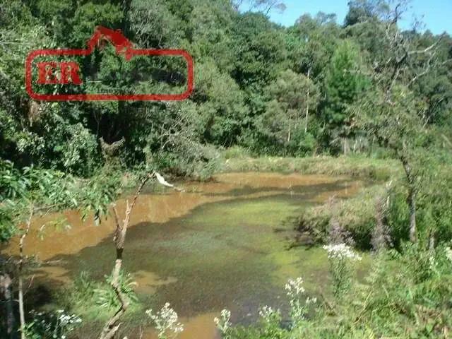 Sítio / Chácara para Venda em Quitandinha/PR Ribeirão Vermelho 5 Quartos