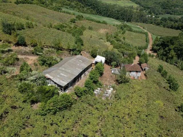 Sítio / Chácara para Venda em Roca Sales/RS Linha Parobé