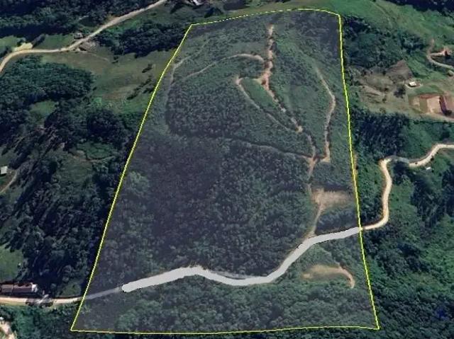 Sítio / Chácara para Venda em Rodeio/SC Diamante