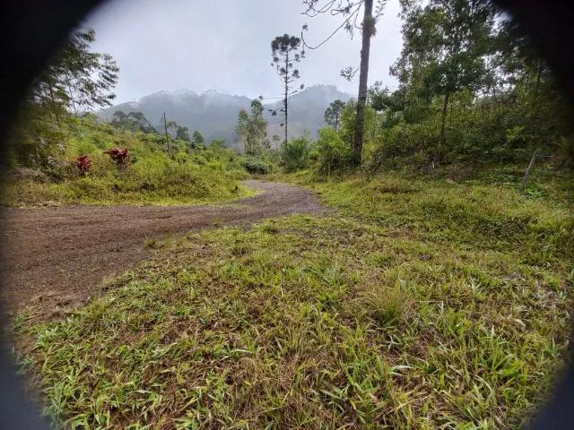 Sítio / Chácara para Venda em Rodeio/SC Rodeio 12
