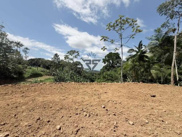 Sítio / Chácara para Venda em Rodeio/SC Zona Rural