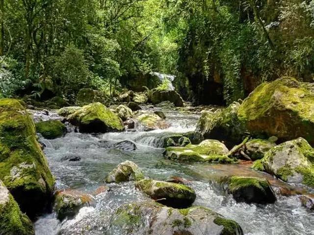Sítio / Chácara para Venda em Rolante/RS Alto Rolantinho 2 Quartos