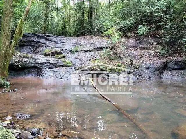 Sítio / Chácara para Venda em Rolante/RS Boa Esperança