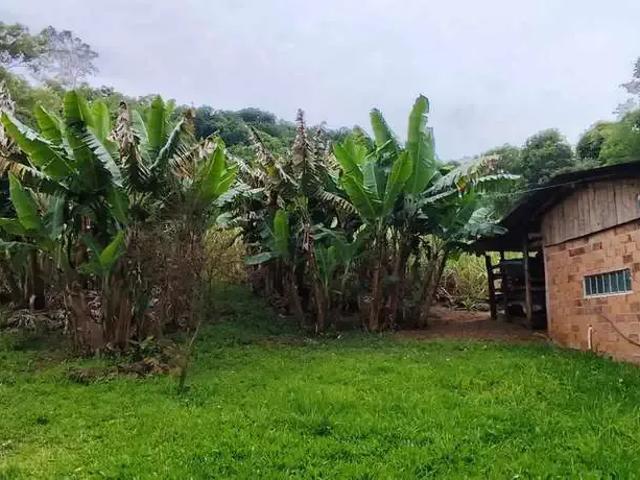 Sítio / Chácara para Venda em Rolante/RS Centro 1 Quartos