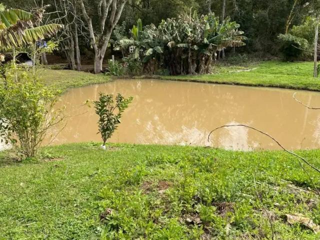 Sítio / Chácara para Venda em Rolante/RS Zona Rural
