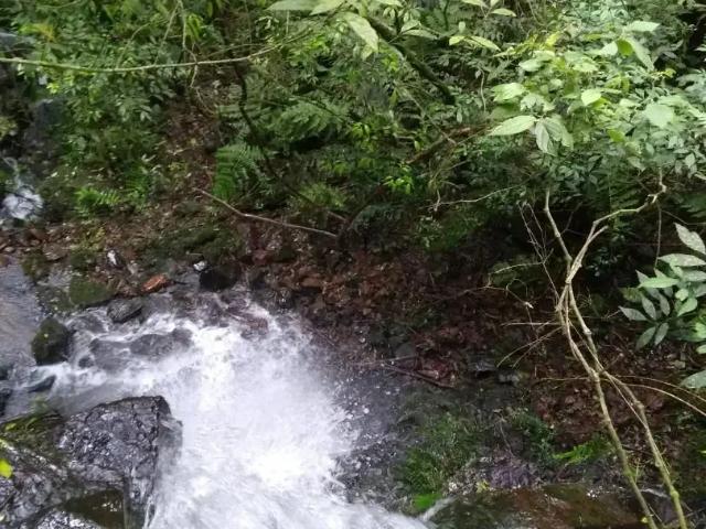 Sítio / Chácara para Venda em Rolante/RS Zona Rural