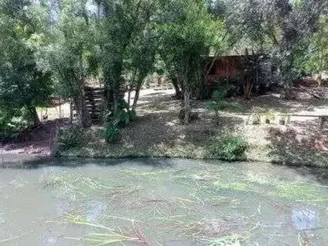 Sítio / Chácara para Venda em Rolante/RS Zona Rural