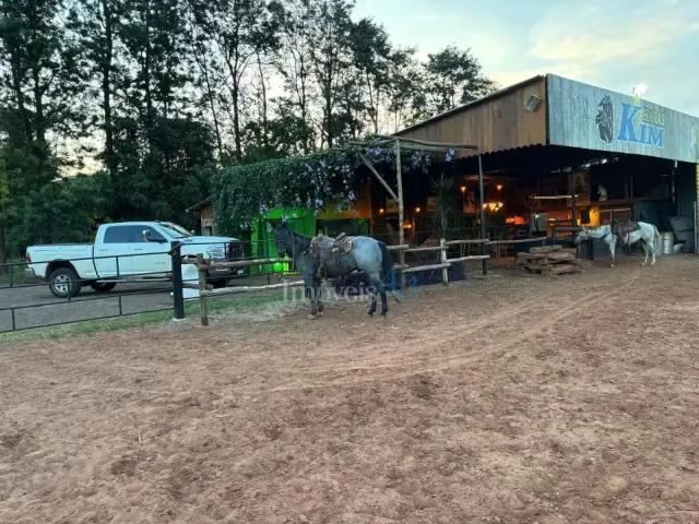 Sítio / Chácara para Venda em Rolândia/PR Área Rural de Rolândia 1 Quartos