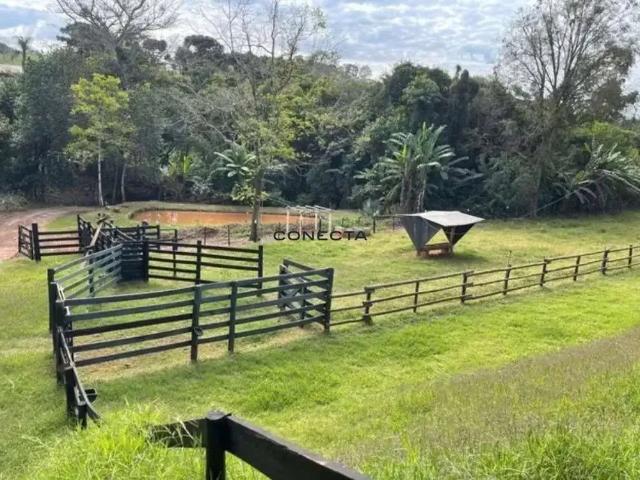 Sítio / Chácara para Venda em Rolândia/PR Área Rural de Rolândia 4 Quartos